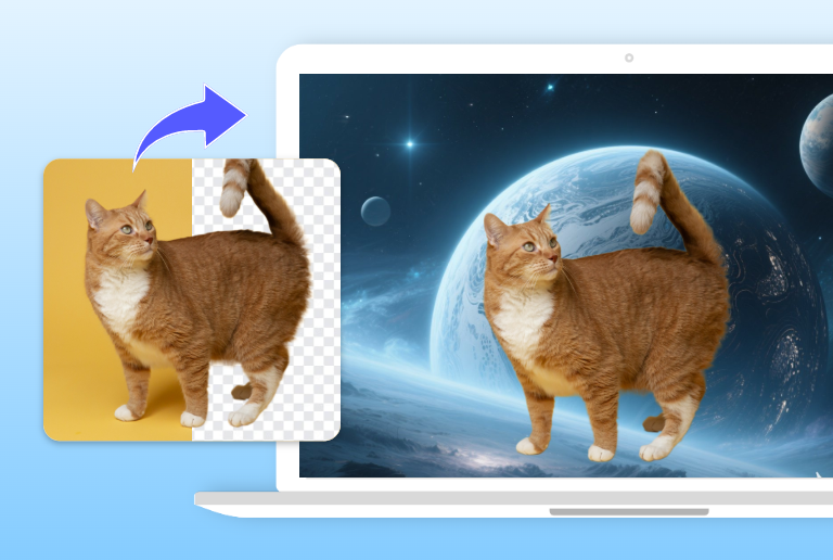 Free online transparent background maker | PxBee