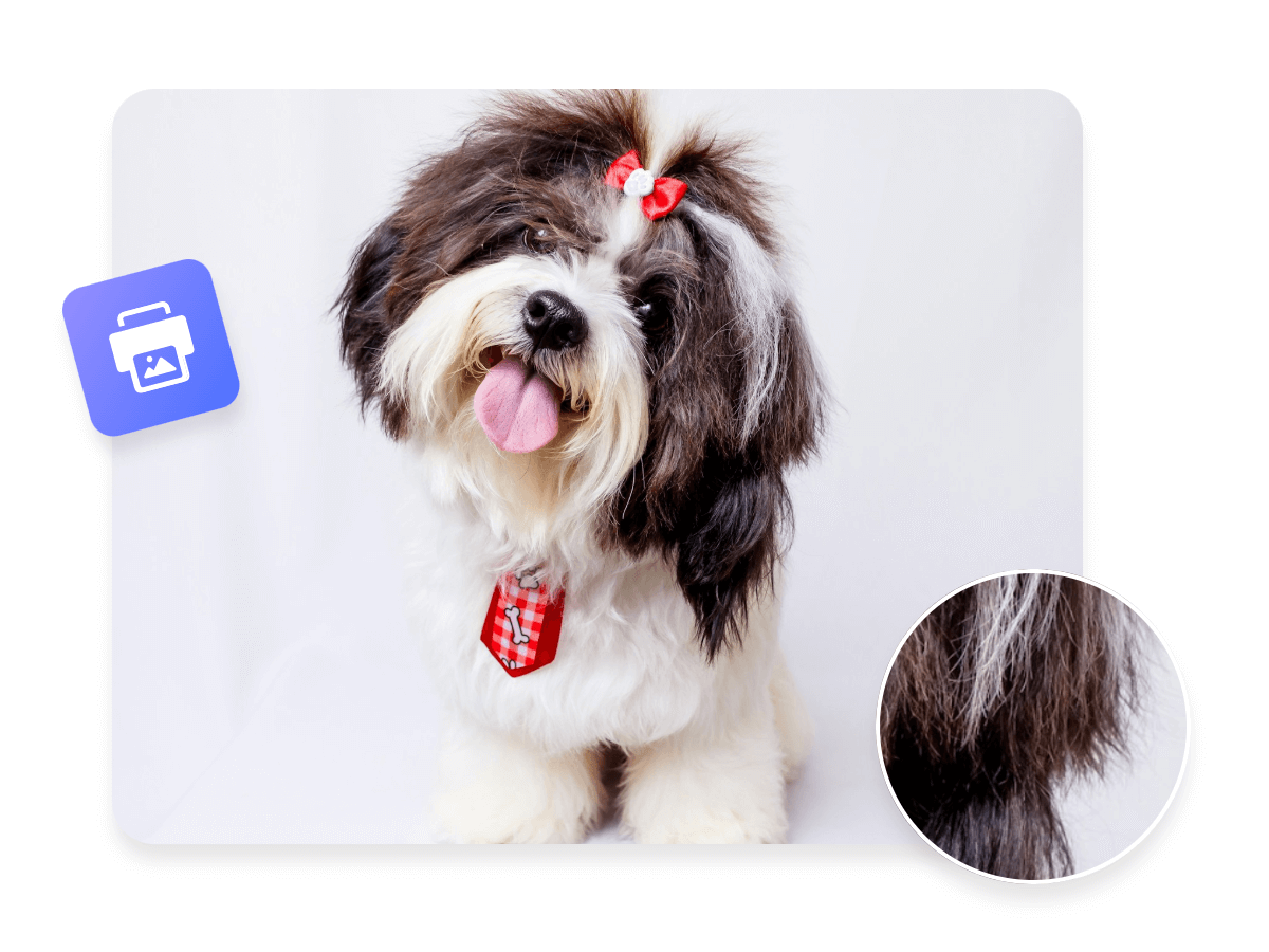 Free AI Photo Enhancer - Enhance Photo Quality Online | Pxbee