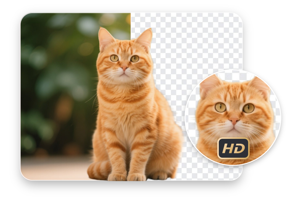 Free online transparent background maker | PxBee