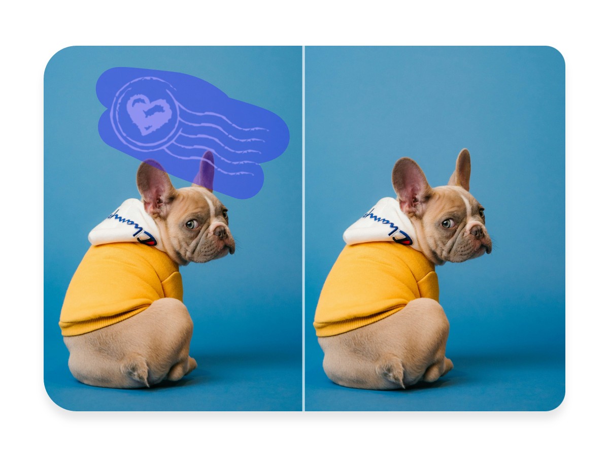 AI Watermark Remover Free Online - Remove Watermark from Image | PxBee